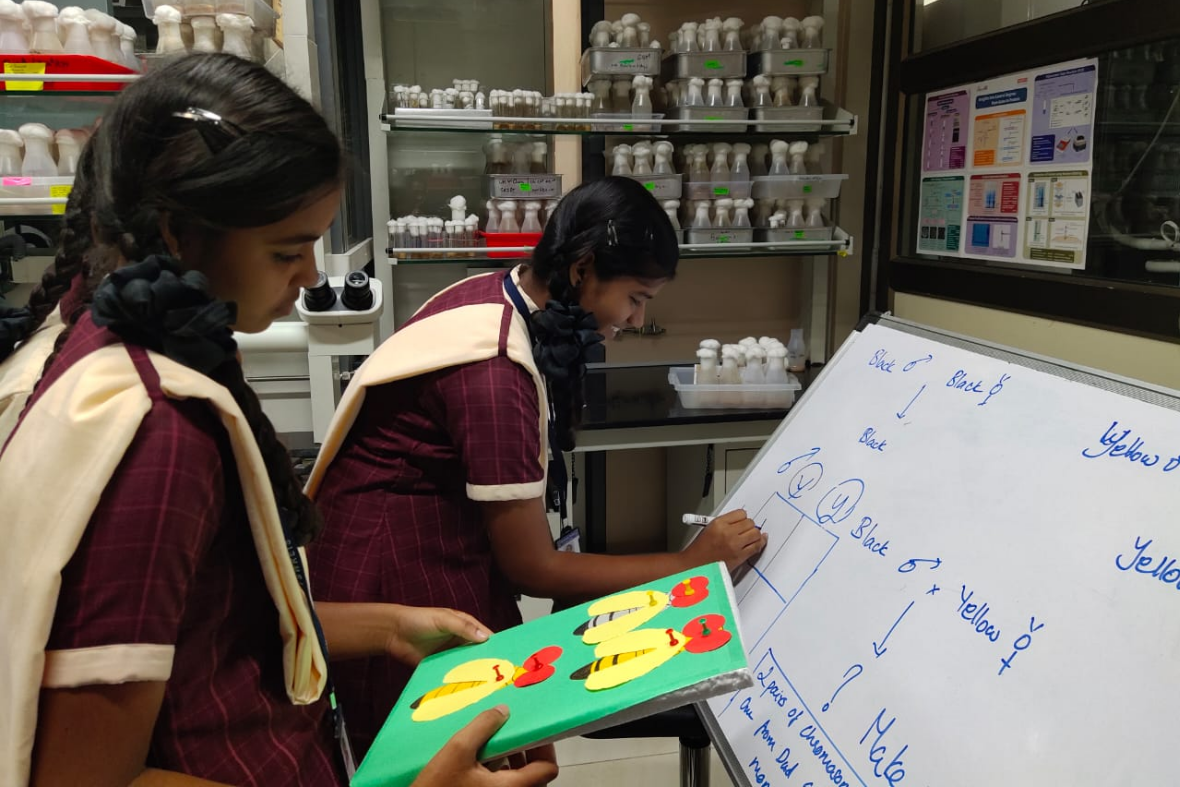6 | Tata Institute of Fundamental Research Hyderabad