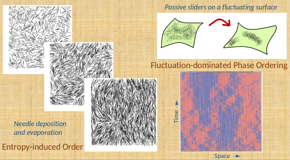 Prof. Mustansir Barma | Prof. Mustansir Barma