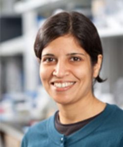 People | Dr. Monika Vig