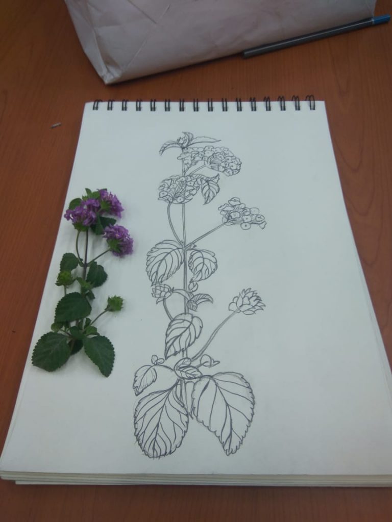 Science Illustration Workshop